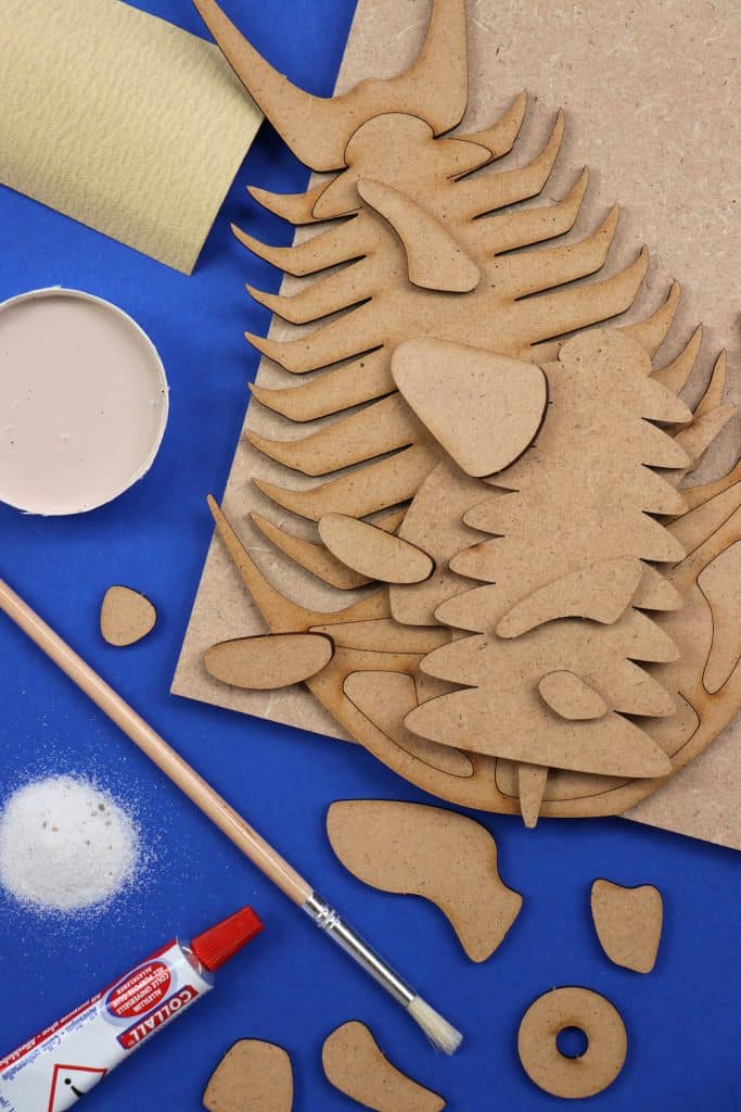 DIY Fossil Art Kit Trilobite | Assembli